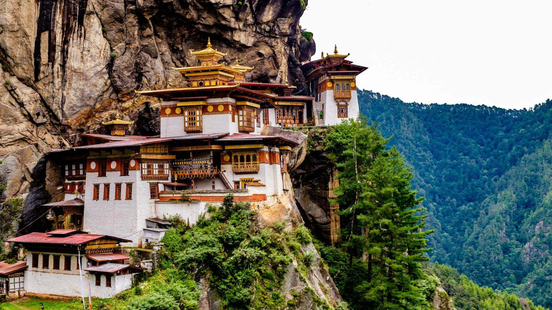 Discover Bhutan – 8-Day Bhutan Tour Package from India | Peak Adventure ...