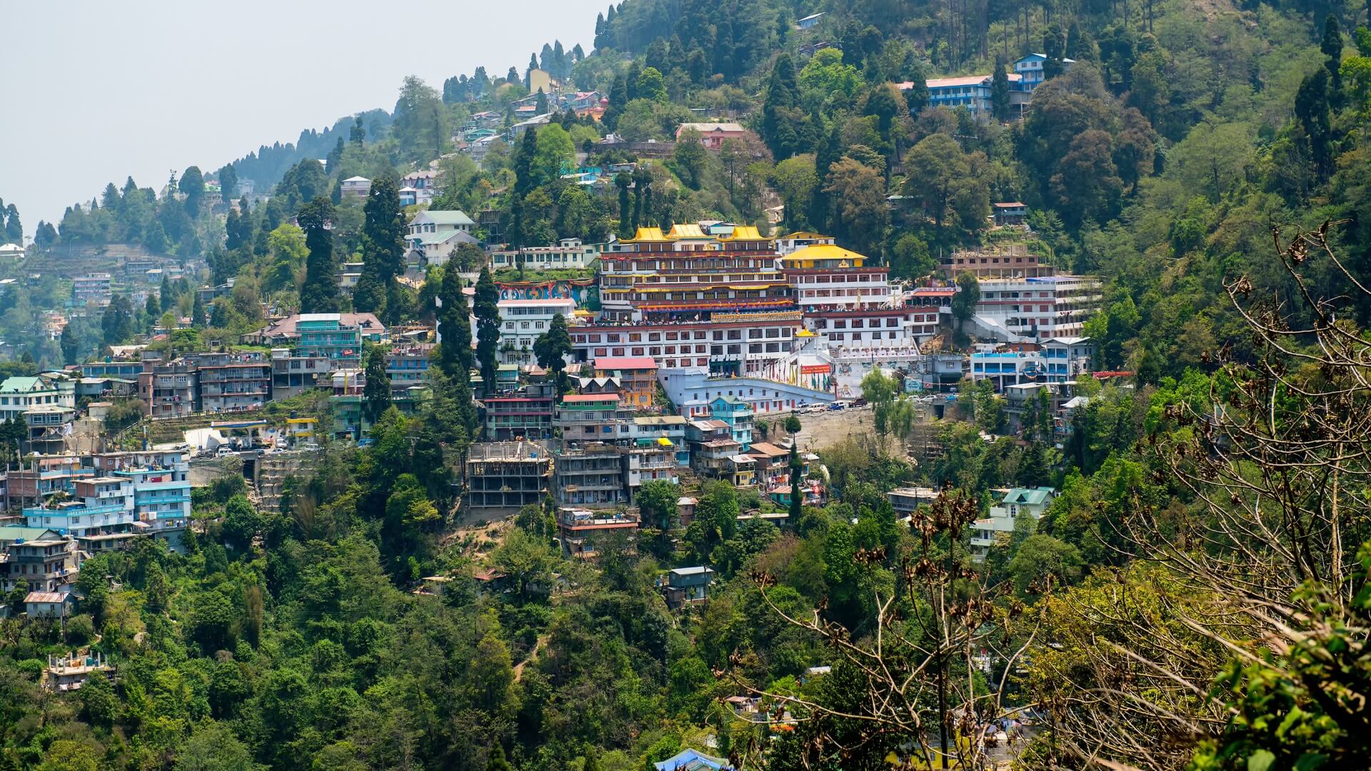 8-Day Sikkim & Darjeeling Tour Itinerary | Peak Adventure Tours