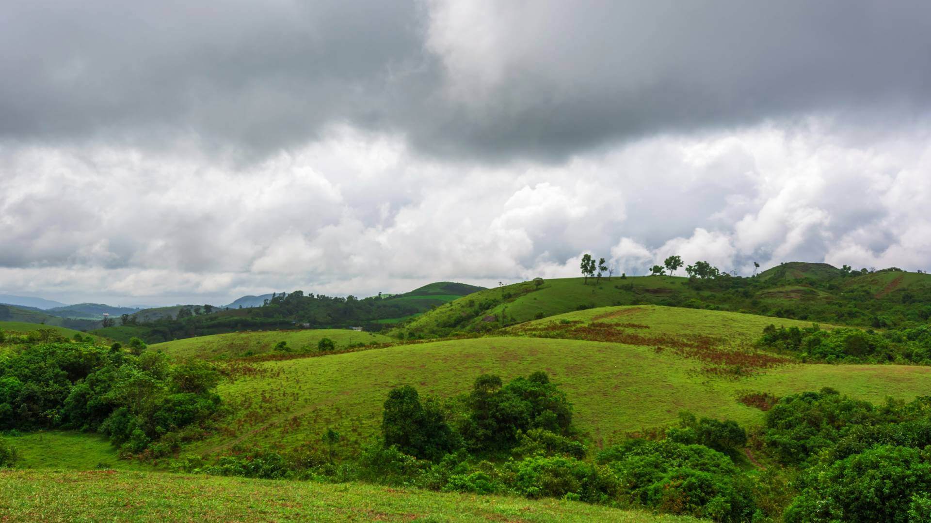 8-Day Vagamon, Munnar, Alleppey & Kovalam Kerala Tour | Peak Adventure ...