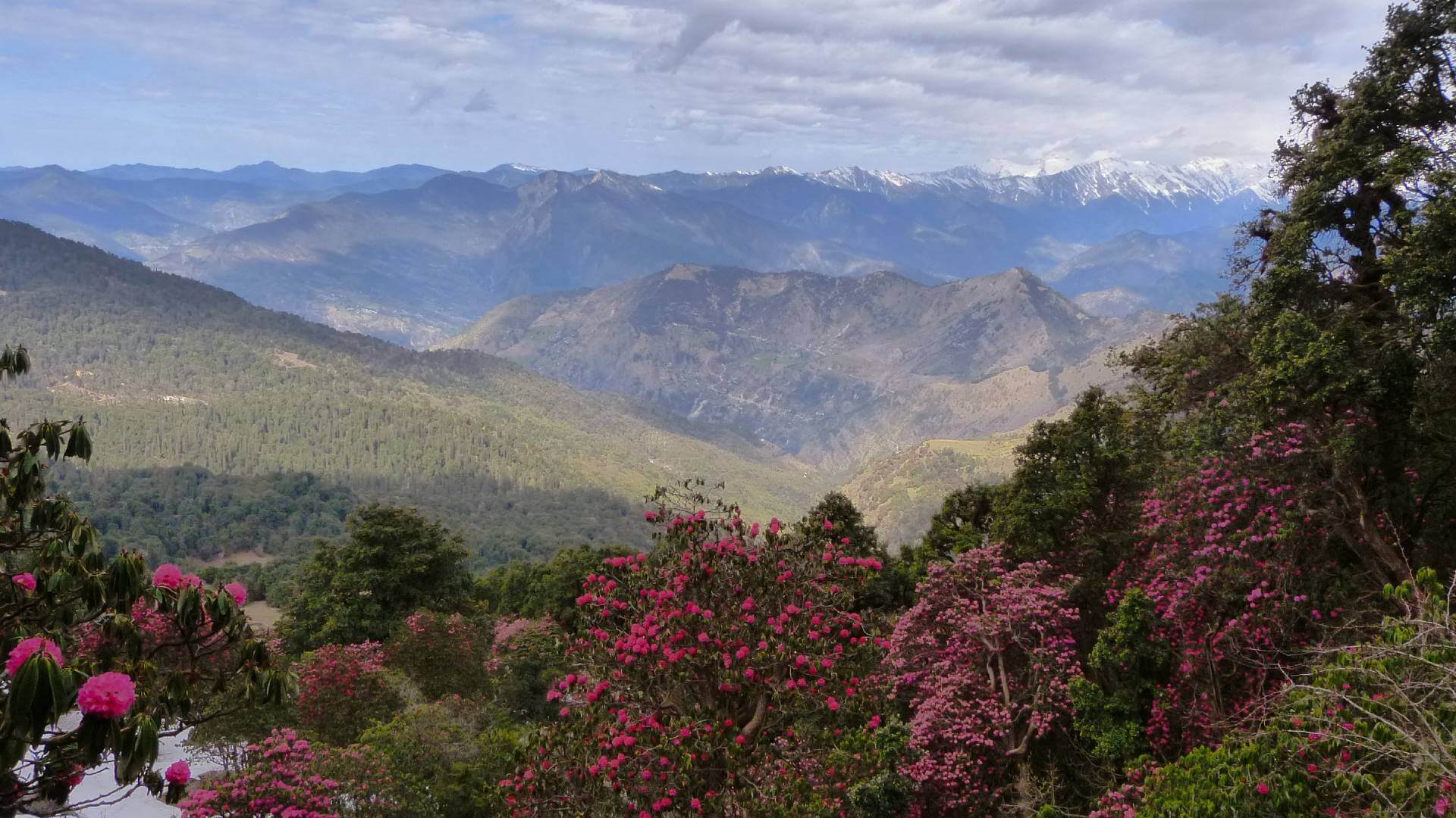 Best Treks to Explore in March in India | Peak Adventure Tour