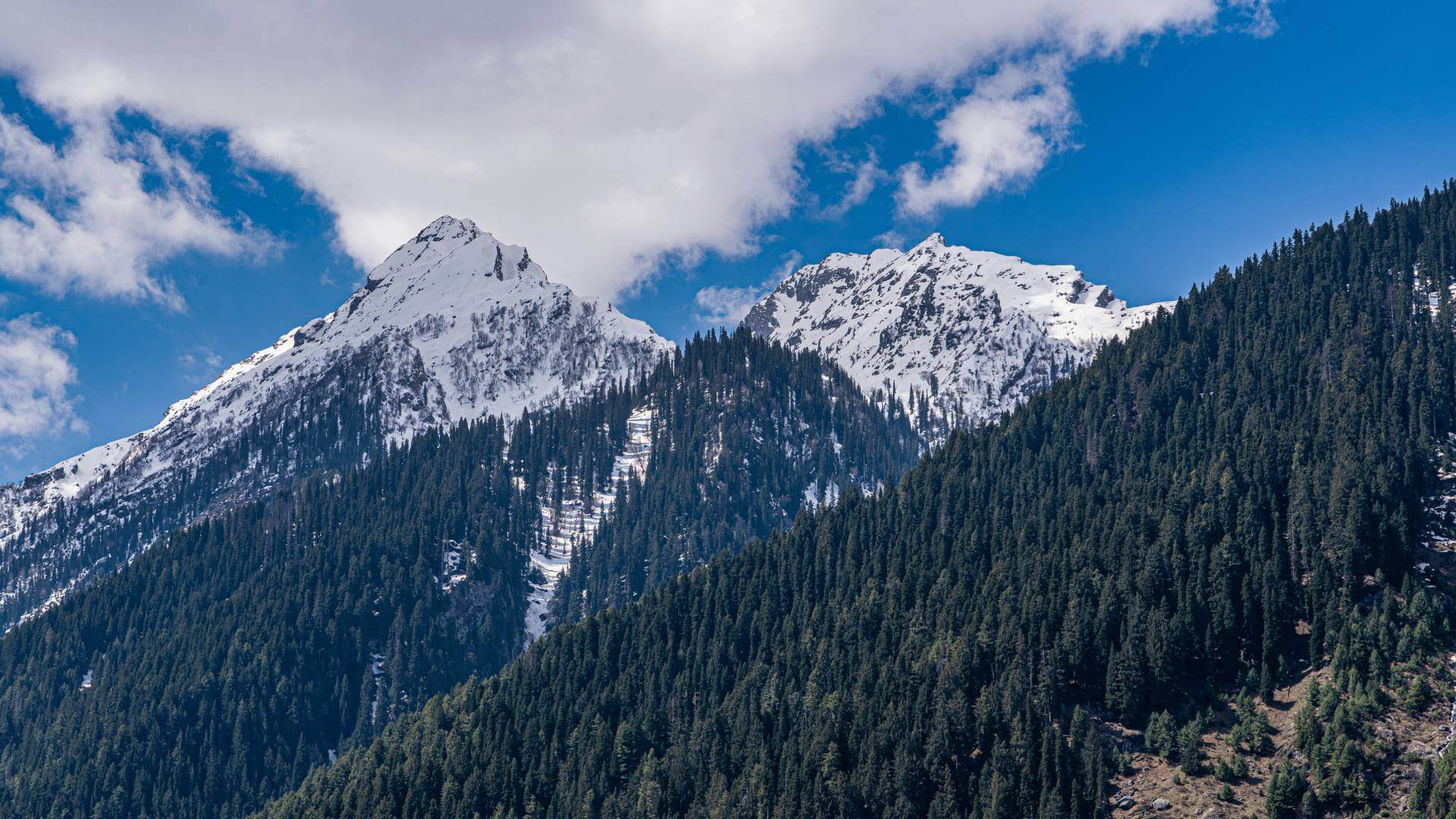 10 Best Hill Stations to Visit in India | Peak Adventure Tour